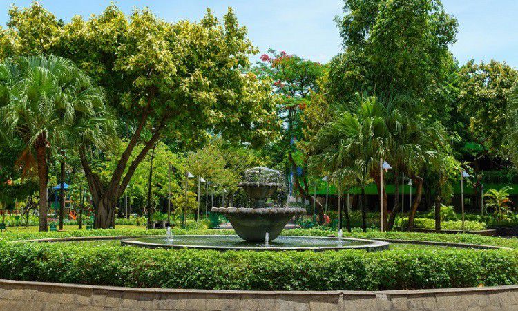 Taman Taman Di Jakarta Homecare24