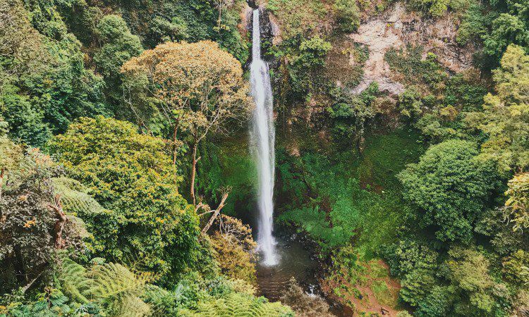 Curug Cimahi Exotic Bandung Wisata Air Terjun Tertinggi - WisataHits Curug Cimahi Exotic Bandung Wisata Air Terjun Tertinggi - WisataHits